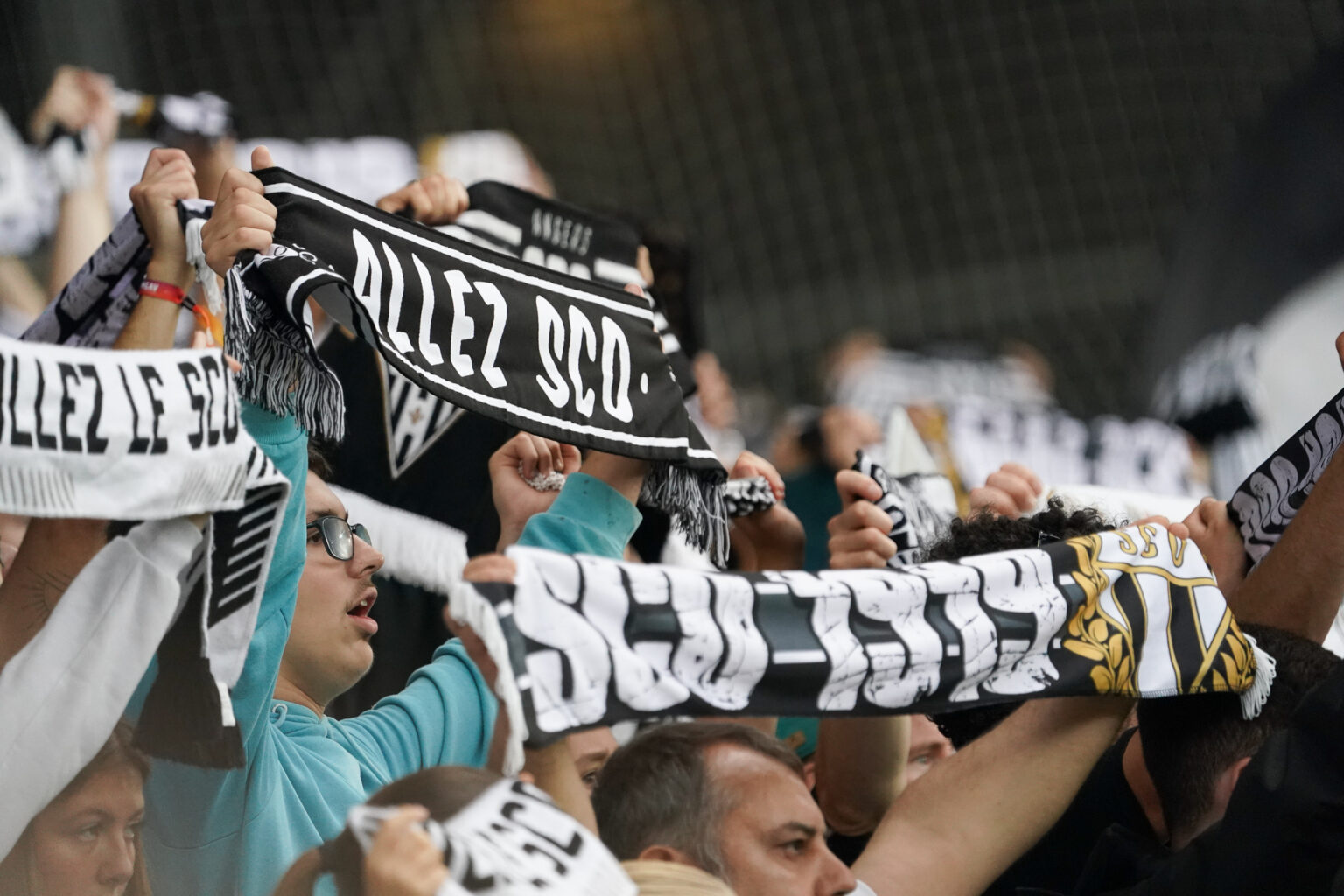 Groupes de supporters - Angers SCO